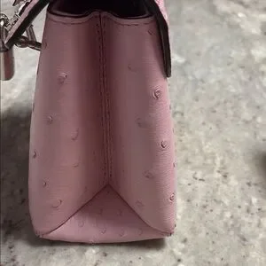 Louis Vuitton | Bags | Louis Vuitton Pink Ostrich Rose Des Vents Mini ...